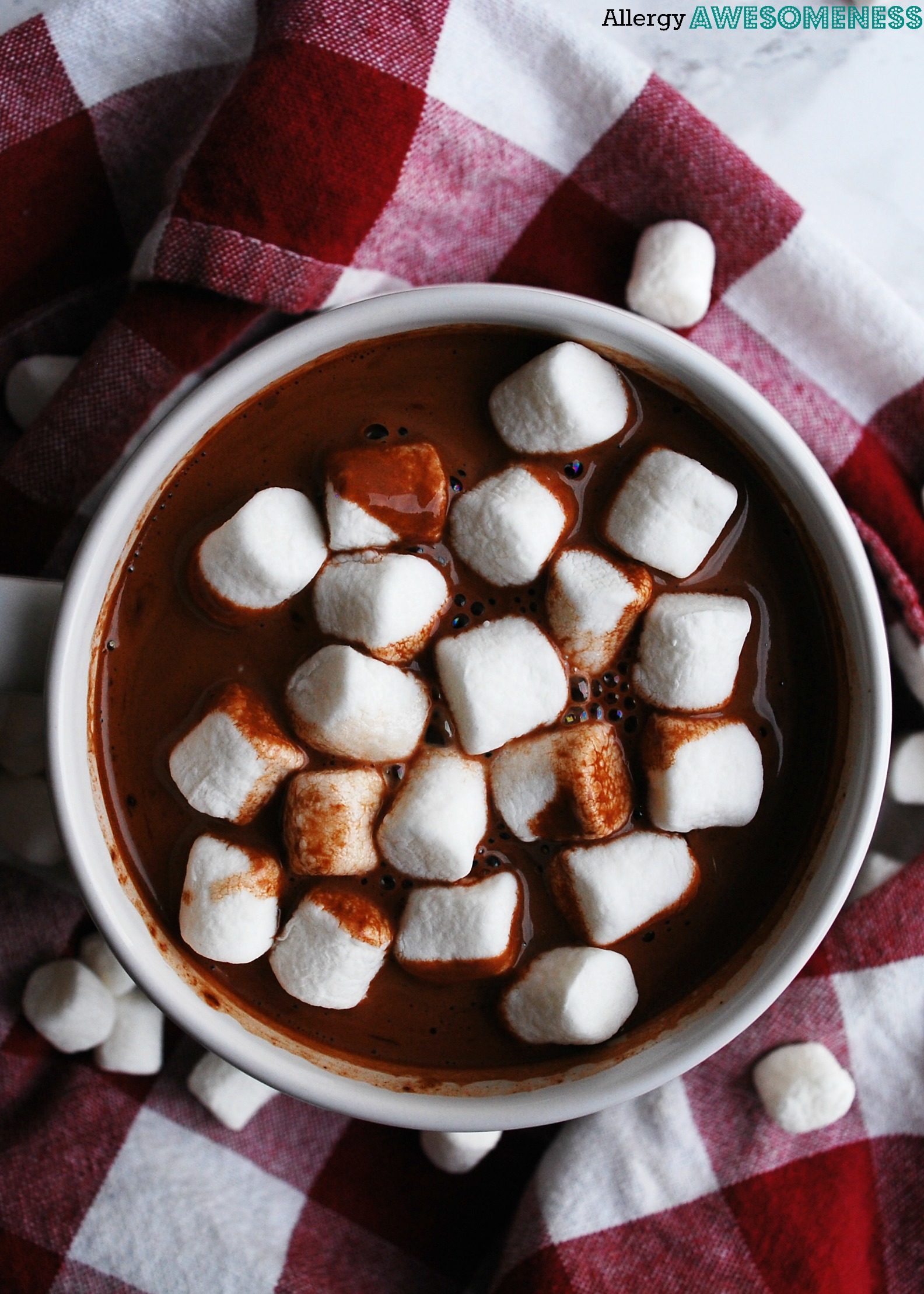 Dairy-free and Vegan Homemade Hot Cocoa Mix + VIDEO | Allergy Awesomeness