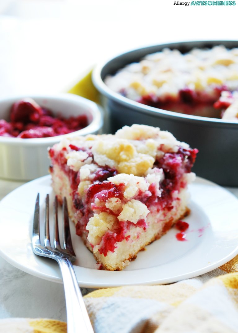 Vegan Gluten-free Lemon Raspberry Streusel Cake | Allergy Awesomeness
